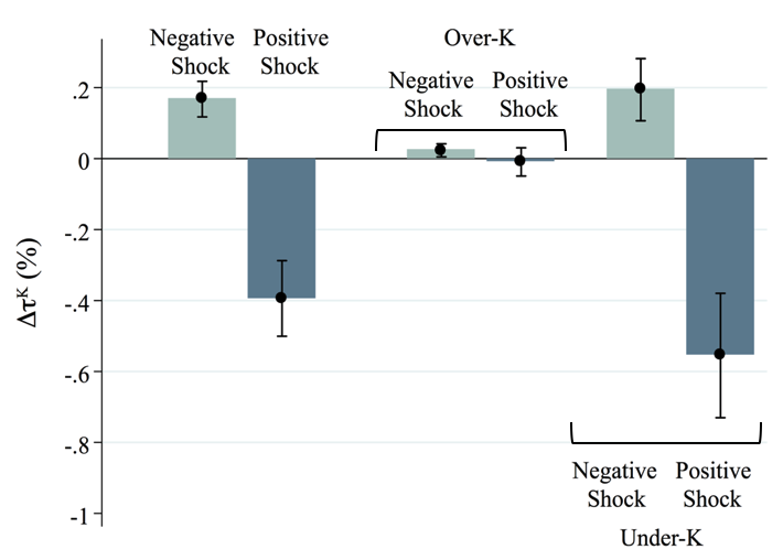 Do Firms Use Capital and Labor Efficiently? Evidence and Implications ...